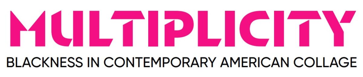 Multiplicity: Blackness in Contemporary American Collage - Frist Art Museum