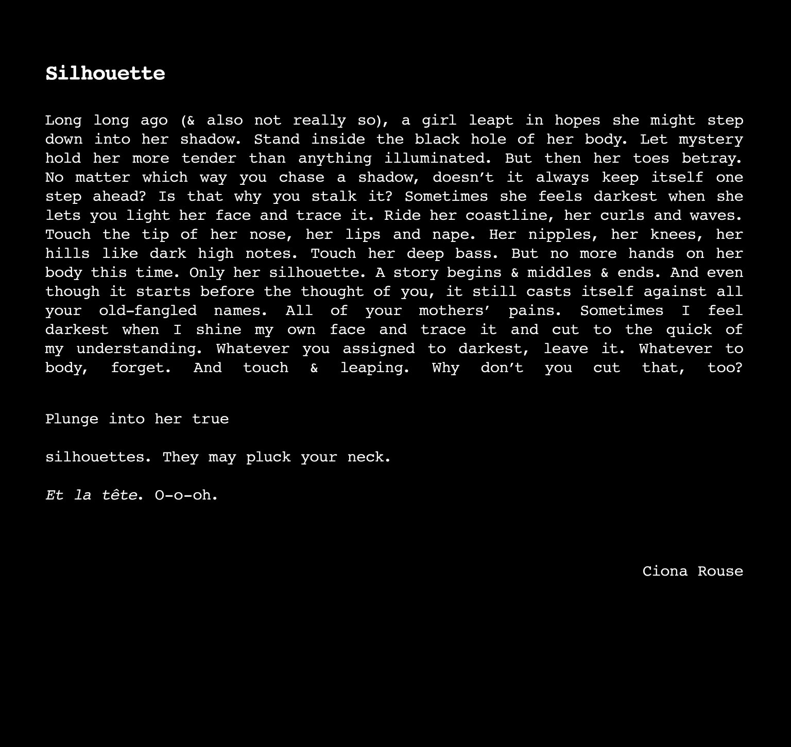 "Silhouette" by Ciona Rouse - Frist Art Museum